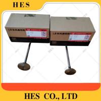 China 3921444/3924492 Valave set INTAKE VALVE+EXHAUST VALVE for sale