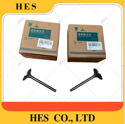 China 12159608 / 12159606 Intake & Exhaust Valve | Construction Machinery & Heavy Truck Engine Parts for sale