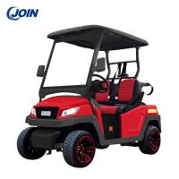 China Permanent Custom Golf Cart Seat 2N1 Electric Golf Buggy 2 Seater for sale