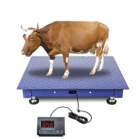 China Industrial Electronic Balance Platform Floor Weighing Scales with Customized OBM Support and Carbon Steel for sale
