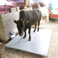 China Industrial Electronic Balance Platform Floor Weighing Scales with Customized OBM Support and Carbon Steel for sale