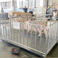 China Industrial Electronic Balance Platform Floor Weighing Scales with Customized OBM Support and Carbon Steel for sale
