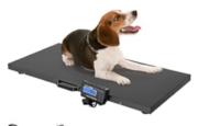 China Carbon Steel Customizable Animal Weighing Scale 500kg Max Capacity 1100LBS 0.1kg Accuracy for Cattle Weight Measurement for sale