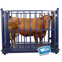China Stainless Steel Horse Scale Floor Scale for Livestock Farm With Fence 500g Accuracy and AC110V/220V Power Supply for sale