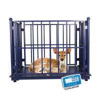 China Stainless Steel Horse Scale Floor Scale for Livestock Farm With Fence 500g Accuracy and AC110V/220V Power Supply for sale