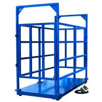 China Customized Color Livestock Weighing Scales for Farm Electronic Floor Animal Scale 300kg Capacity for sale