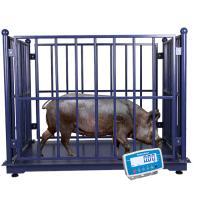 China Customized Color Livestock Weighing Scales for Farm Electronic Floor Animal Scale 300kg Capacity for sale