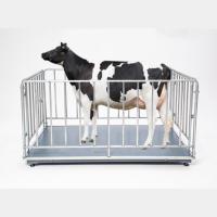 China Customized OBM Support Digital Livestock Scale for Sheep Cattle Poultry Farm 2000KG Weight Limit Fence and Panel Included for sale