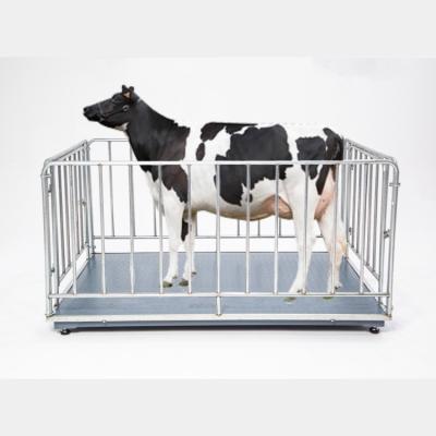 China Customized OBM Support Digital Livestock Scale for Sheep Cattle Poultry Farm 2000KG Weight Limit Fence and Panel Included for sale