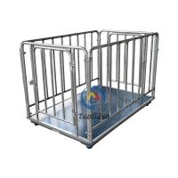 China Customized OBM Support Digital Livestock Scale for Sheep Cattle Poultry Farm 2000KG Weight Limit Fence and Panel Included for sale