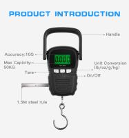 China LCD Display Hanging Scale Mini Digital Hand Carbon Steel Digital Balance Fish Scale for Fishing Luggage for sale