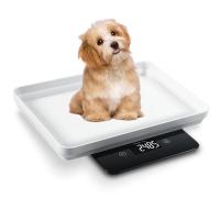 China Tiny Pets Floor Scale 5kg 1g with LCD Display Portable Electronic Digital Pet Kitten Animal Balance Weighing Scales for sale