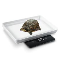 China Tiny Pets Floor Scale 5kg 1g with LCD Display Portable Electronic Digital Pet Kitten Animal Balance Weighing Scales for sale