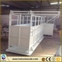 China AC110V/220V Power Supply 1.2*1.5m 500kg 1000kg 1500kg Balance Livestock Scale for Accurate Cattle Weighing at a for sale