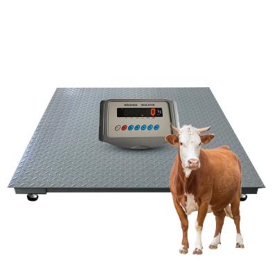 China High Precision 500g Floor Scale for Industrial Animal Weighing in Livestock Industry for sale