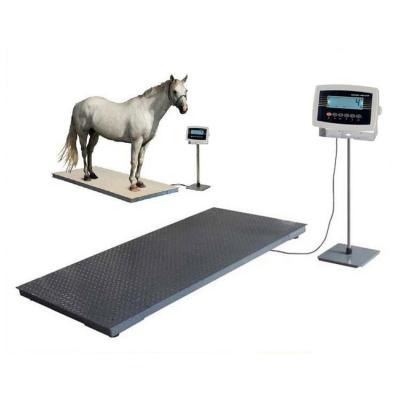 China Precise Livestock Cattle Weighing Scale with Indexing Value 0.5/1/2/5Kg and Customized Support for sale