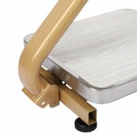 China Mini Fold Portable Electronic Scale 60 kg TCS Electronic Platform Scale with Stainless Steel Indicator Bench Scale for sale