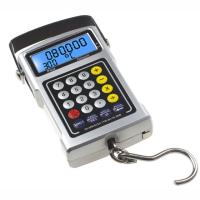 China OBM Supported White Backlight 0.1G 0.01G Electronic Digital Scale Mini Pocket Pricing Scale for Jewelry Weighing for sale