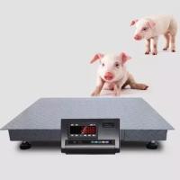 China HLT-TCS Floor Scale 1t 3t 5t Electronic Bench Scales with Indicator Display Steel Material and OEM Support Pan 0.8m*0.8m for sale