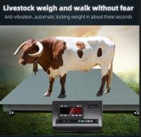 China Truck Scale 1.5*1.5 m 3 Ton Platform Weighing Floor Scale with Load Cell Weighing Instrument and Battery Power Supply for sale