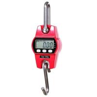 China Veidt OCS-L Portable Crane Scale 50kg Capacity Digital Hanging Weight Hook Scale with LCD/LED Display OEM ODM Supported for sale