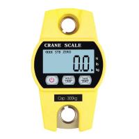 China Veidt OCS-L Portable Crane Scale 50kg Capacity Digital Hanging Weight Hook Scale with LCD/LED Display OEM ODM Supported for sale