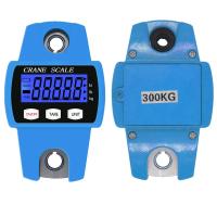 China Hanging Scale Heavy Duty Stainless Steel Hook Scales 300kg/150g/50g/100g Capacity Portable Digital Crane Scale 0.01g Accuracy for sale
