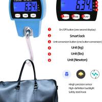 China Hanging Scale Heavy Duty Stainless Steel Hook Scales 300kg/150g/50g/100g Capacity Portable Digital Crane Scale 0.01g Accuracy for sale
