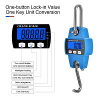 China Customized Support Digital LCD Industrial Scale with Waterproof Detachable Hook and Blue Orange Display OEM/ODM Supported for sale