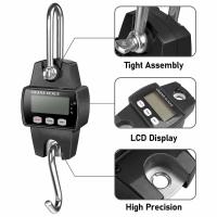 China ABS stainless steel 660 lb Digital Hanging Scale 300 kg Mini Crane Scale LCD/LED Display Hooks for Farm Hunting Fishing Outdoor OEM Customizable for sale