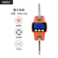 China 300kg/50g Digital LCD Smart Electronic Hook Scale Professional Waterproof Detachable Hook Industrial Scale 20-Piece Set for sale