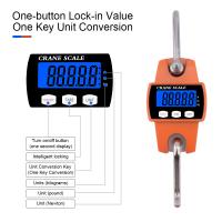 China 300kg/50g Digital LCD Smart Electronic Hook Scale Professional Waterproof Detachable Hook Industrial Scale 20-Piece Set for sale