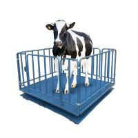 China Highly Accurate Portable Livestock Scale for OBM Supported Weighing of Sheep Goats and Cattle for sale
