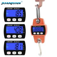 China 200kg/100g Accuracy Crane Scale Weight 300kg 150kg 500kg Heavy Duty Hanging Hook Scales Portable Digital Stainless Steel for sale