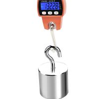 China 200kg/100g Accuracy Crane Scale Weight 300kg 150kg 500kg Heavy Duty Hanging Hook Scales Portable Digital Stainless Steel for sale