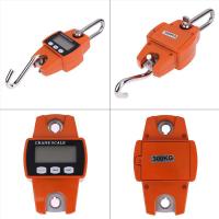 China 300kg Stainless Steel Electronic Hook Hanging Scale Digital Loop Industrial Heavy Duty Weight Balance LCD LED OEM Customizable for sale