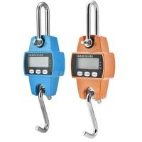 China Customized Support LCD Display Beichen Electric Hanging Crane Luggage Weight Scale 300kg Mini Crane Scales for sale