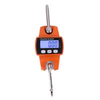 China High Accuracy Stainless Steel Electronic Hanging Weighing Crane Scale 300KG Capacity Digital LCD Display OEM Customizable for sale