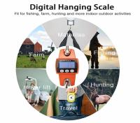 China High Accuracy Stainless Steel Electronic Hanging Weighing Crane Scale 300KG Capacity Digital LCD Display OEM Customizable for sale