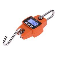China ODM Supported Electronic Crane Scale with 300kg Capacity and LCD Display for Heavy-Duty Weighing in Industrial Environments for sale