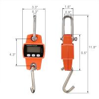 China ODM Supported Electronic Crane Scale with 300kg Capacity and LCD Display for Heavy-Duty Weighing in Industrial Environments for sale