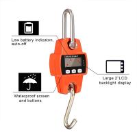 China ODM Supported Electronic Crane Scale with 300kg Capacity and LCD Display for Heavy-Duty Weighing in Industrial Environments for sale