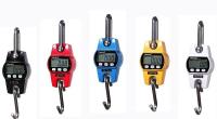 China ODM Supported Electronic Crane Scale with 300kg Capacity and LCD Display for Heavy-Duty Weighing in Industrial Environments for sale