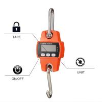 China Small Electronic Suspension Luggage Scale 100kg-300kg with LED LCD Display 50g Accuracy OEM Customizable for sale