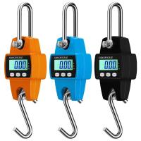 China Small Electronic Suspension Luggage Scale 100kg-300kg with LED LCD Display 50g Accuracy OEM Customizable for sale