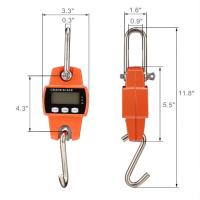 China Small Electronic Suspension Luggage Scale 100kg-300kg with LED LCD Display 50g Accuracy OEM Customizable for sale