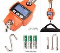 China CRANE SCALE 300KG Portable Electronic Hanging Scale with LCD Display Digital LED Display OEM/ODM Supported for sale