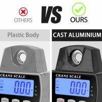 China OEM/ODM Supported Portable Mini Crane Scale with 300 kg 660 lb Capacity ABS Stainless Steel Material and LED LCD Display for sale