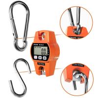 China Customized ODM Support LCD Display Mini Digital Crane Scale for 300KG Luggage and Fishing for sale