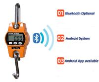 China 300kg Hanging Crane Scale with Bluetooth Function and LED/LCD Display ABS Stainless Steel Grey Color OEM/ODM Customized for sale